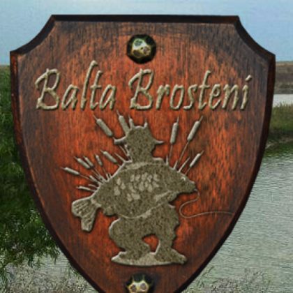 Balti de pescuit Visina