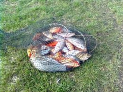 Balti de pescuit Lilieci