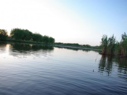 Balti de pescuit Nana